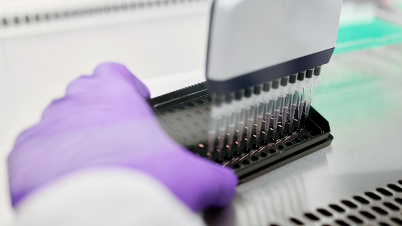 KAPA Cleanup Beads, Cleanup beads for NGS and other molecular workflows