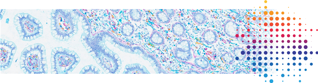 Chromogenic IHC and ISH Resources