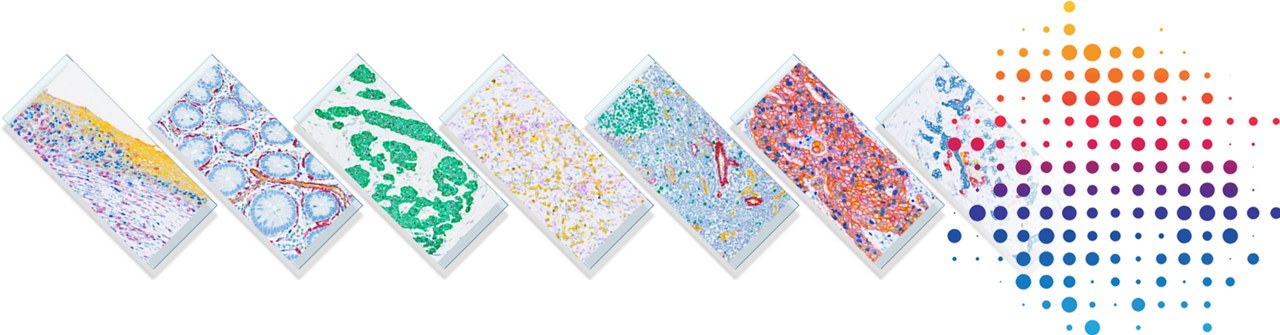 Chromogenic IHC and ISH Resources